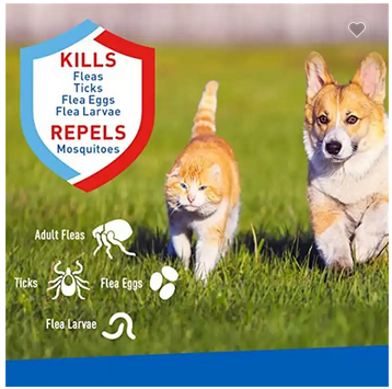 Dogs: Ticks & Fleas Removal - RIDAX NG